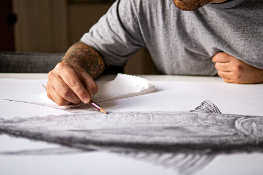 Fish Art with Tim Li - The Fishing Website