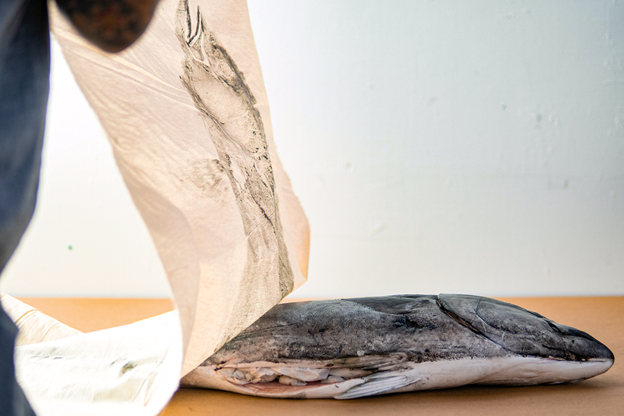 Fish Art with Tim Li - The Fishing Website