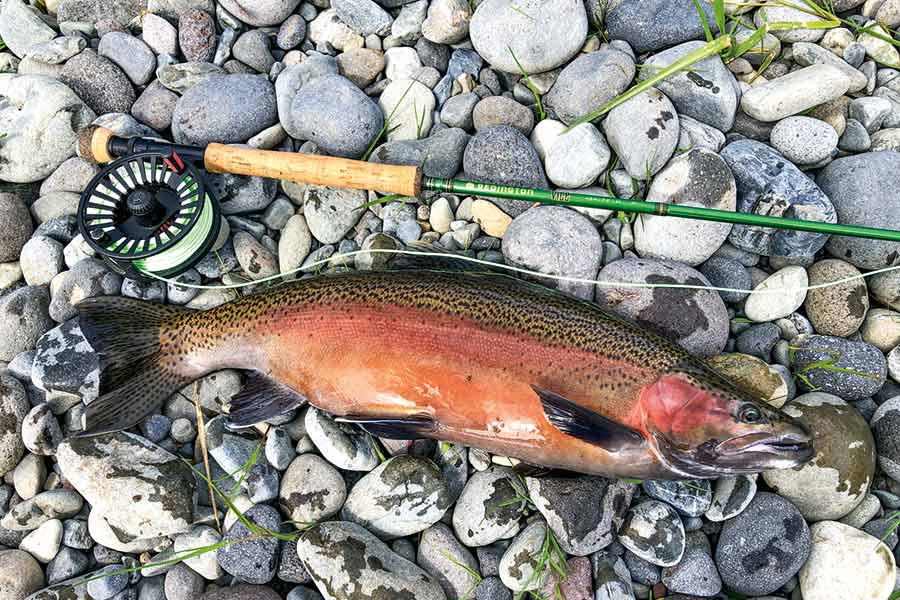 Fishing in Turangi - The Fishing Website