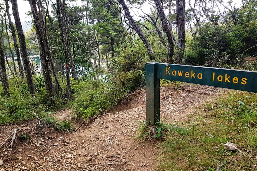 Trout - Fishing the Twin Kaweka Lakes - The Fishing Website