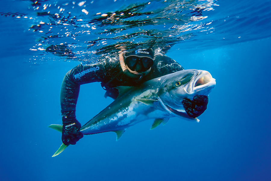 Underwater Photography - The Fishing Website