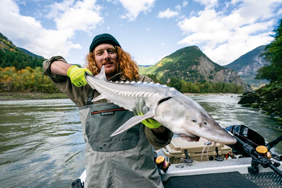 Catching White Sturgeon in British Columbia - The Fishing Website
