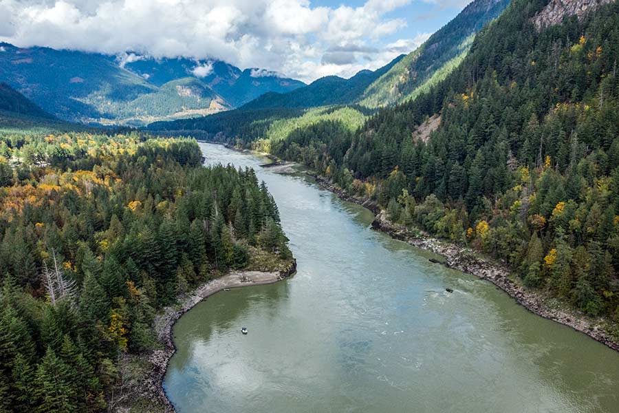 Catching White Sturgeon in British Columbia - The Fishing Website