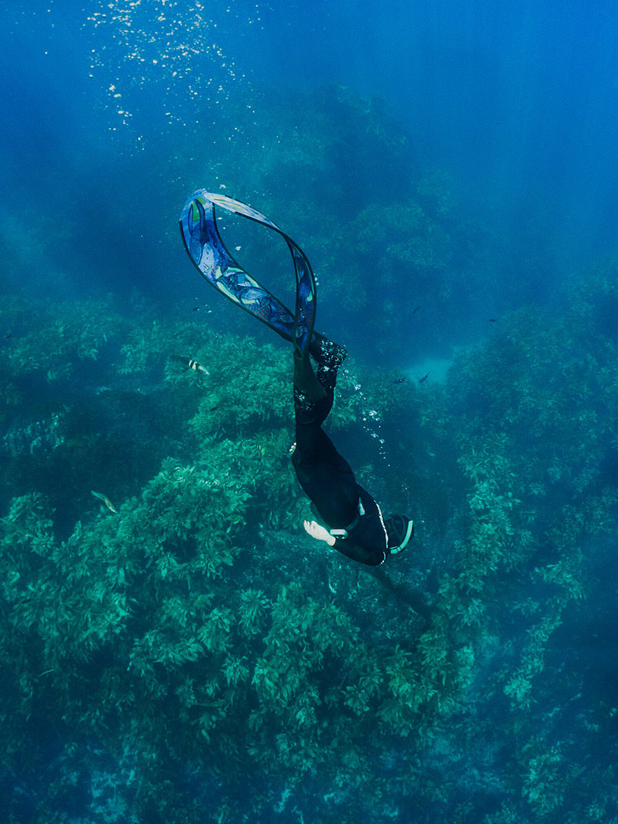 Boarfish Spearfishing in NZ - The Fishing Website