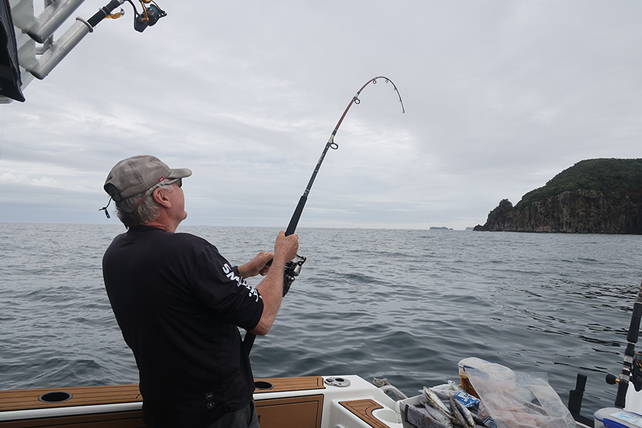 Choosing Your Mainline (Part 1) - The Fishing Website