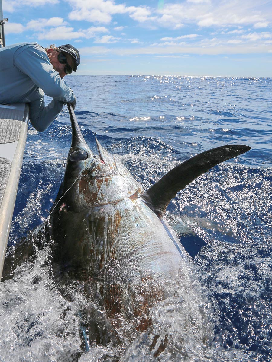 Choosing Your Mainline (Part 1) - The Fishing Website