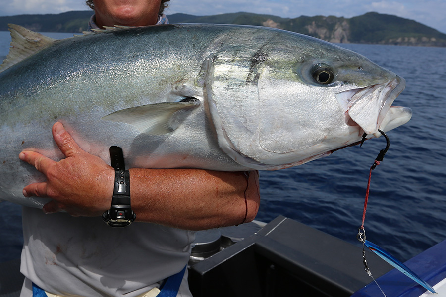 Which Clips for Saltwater Fishing? - The Fishing Website