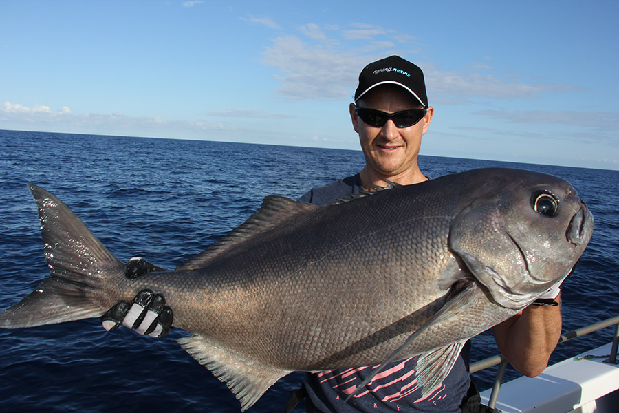 Fishing the Depths for Hapuku, Bass and Bluenose - The Fishing Website