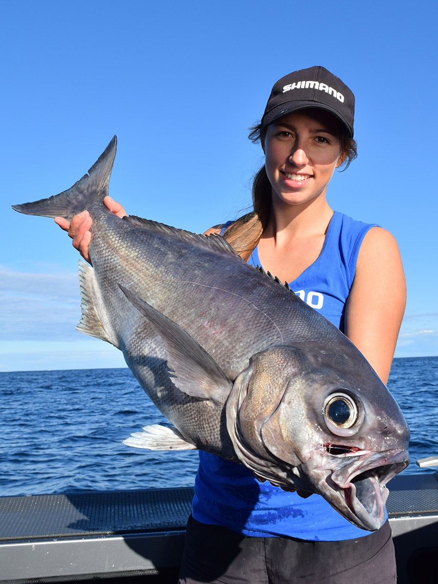 Fishing the Depths for Hapuku, Bass and Bluenose - The Fishing Website