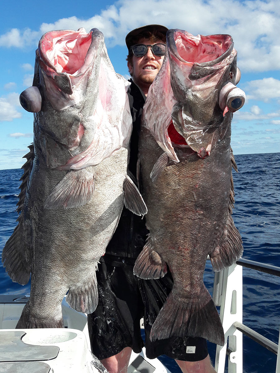 Fishing the Depths for Hapuku, Bass and Bluenose - The Fishing Website