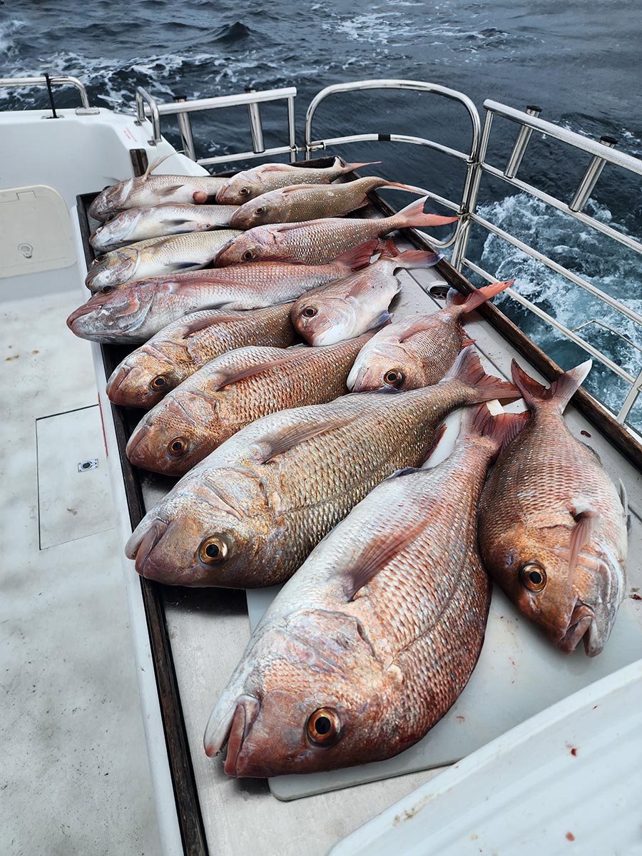 Lure Fishing for Snapper in Deep Water - The Fishing Website