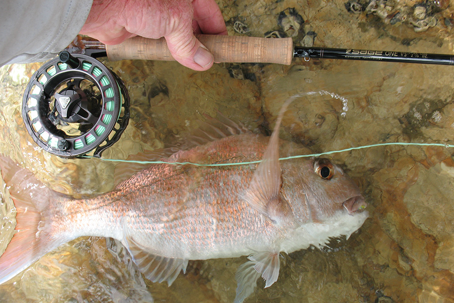 Targeting Big Fish on Tidal Estuaries - The Fishing Website