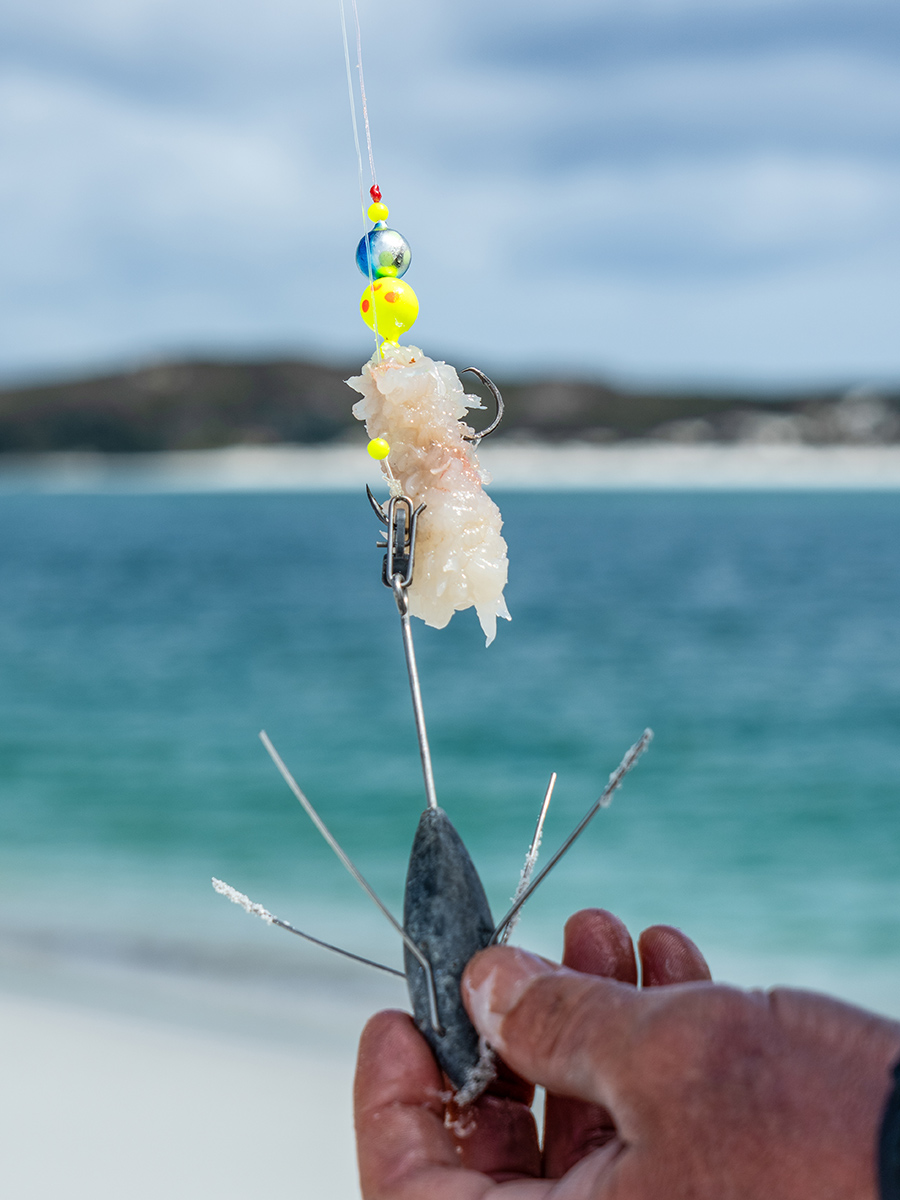 Expert Surfcasting Tips - The Fishing Website
