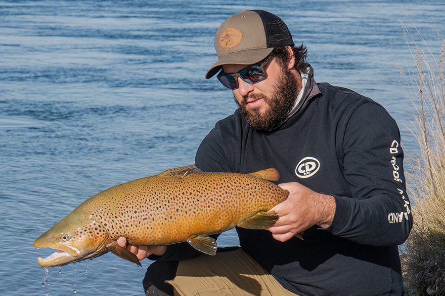 Trophy Trout From McKenzie Country Canals - The Fishing Website