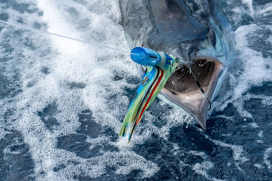 Gear Preparation for Marlin - The Fishing Website