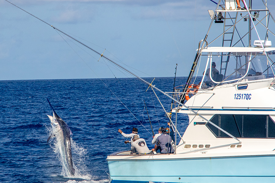 George Kittow - Giant Black Marlin - The Fishing Website