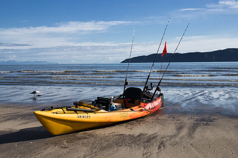Snapper and Blue Moki From a Kayak - The Fishing Website