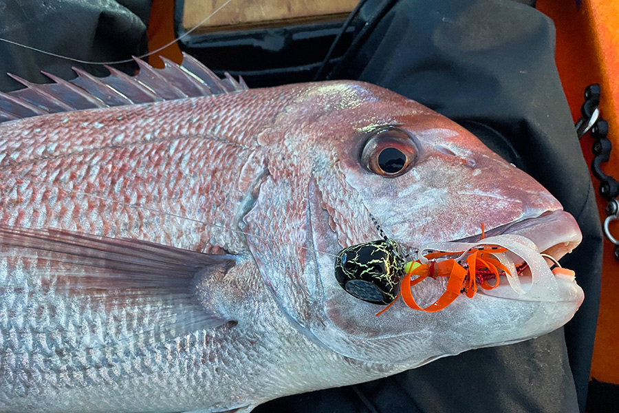 Snapper and Blue Moki From a Kayak - The Fishing Website