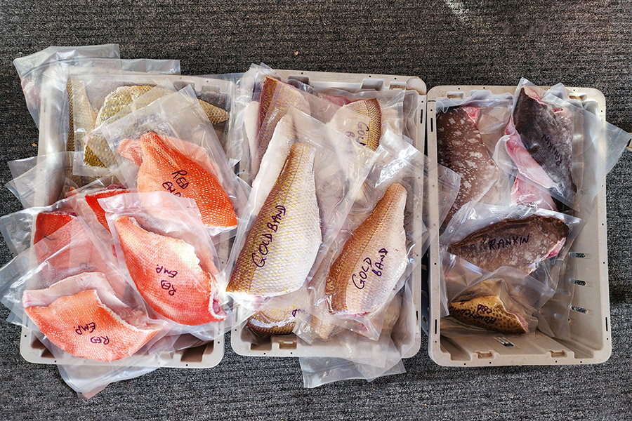 The Mackerel Islands - Exmouth Australia Part 2 - The Fishing Website