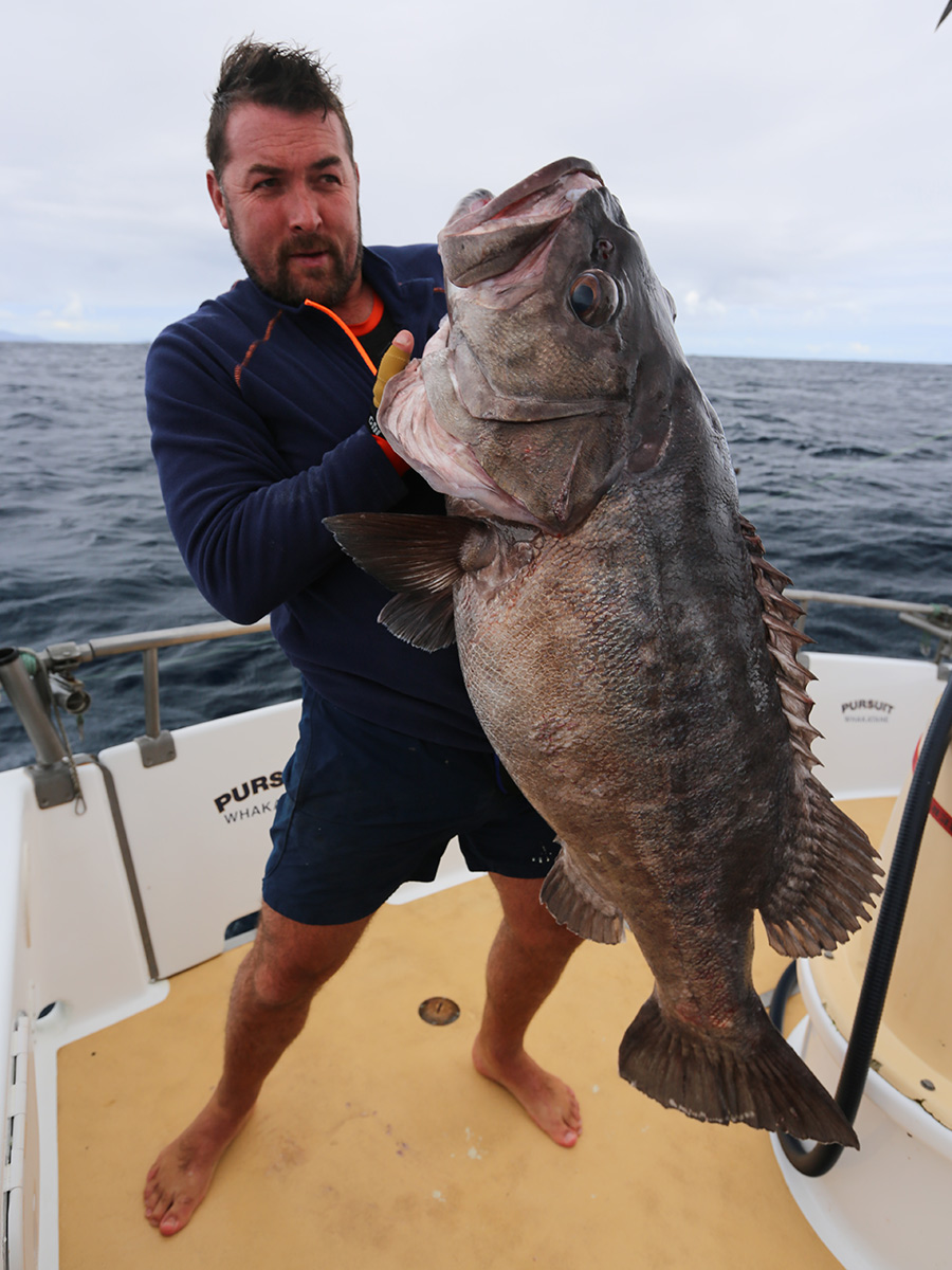 Choosing Your Mainline (Part 2) - The Fishing Website