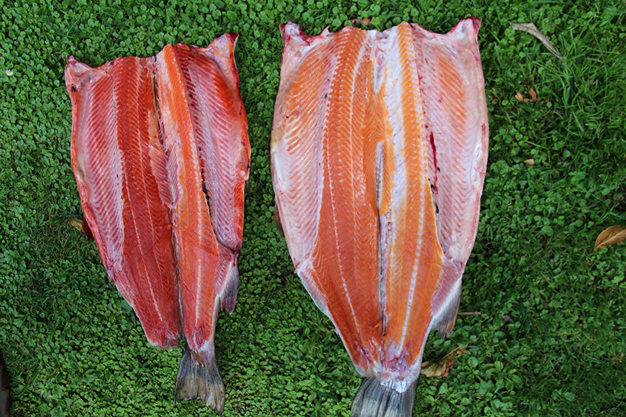 Fishing the North Island Lakes - The Fishing Website