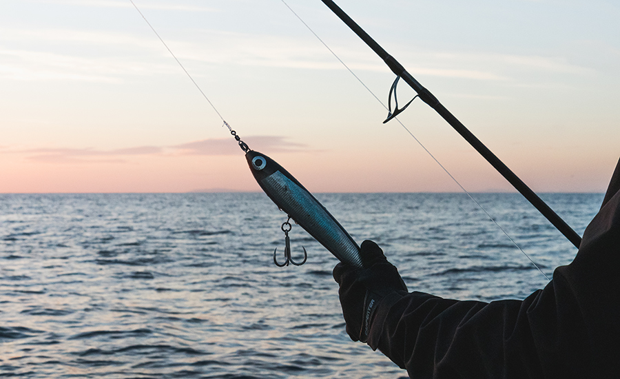 Expert Tips for Topwater Fishing - The Fishing Website