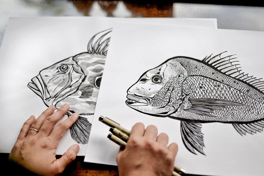 Rachel Lee - Artist - The Fishing Website