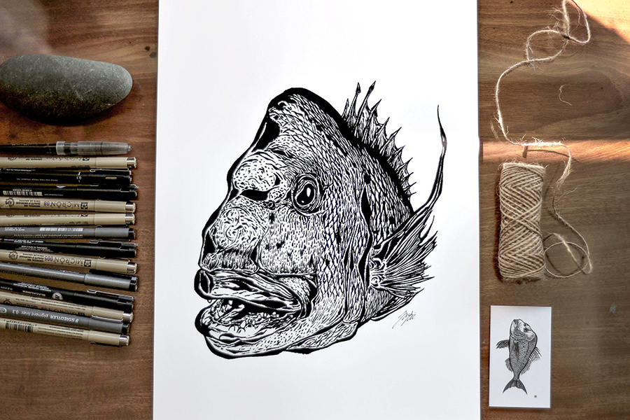 Rachel Lee - Artist - The Fishing Website