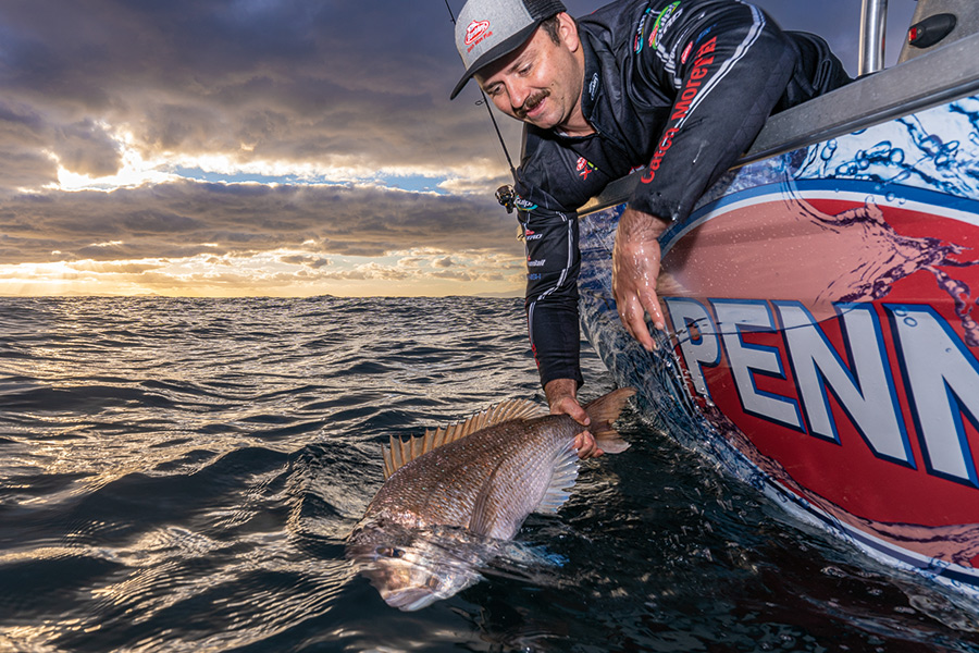 Survival Rates When Releasing Fish - The Fishing Website