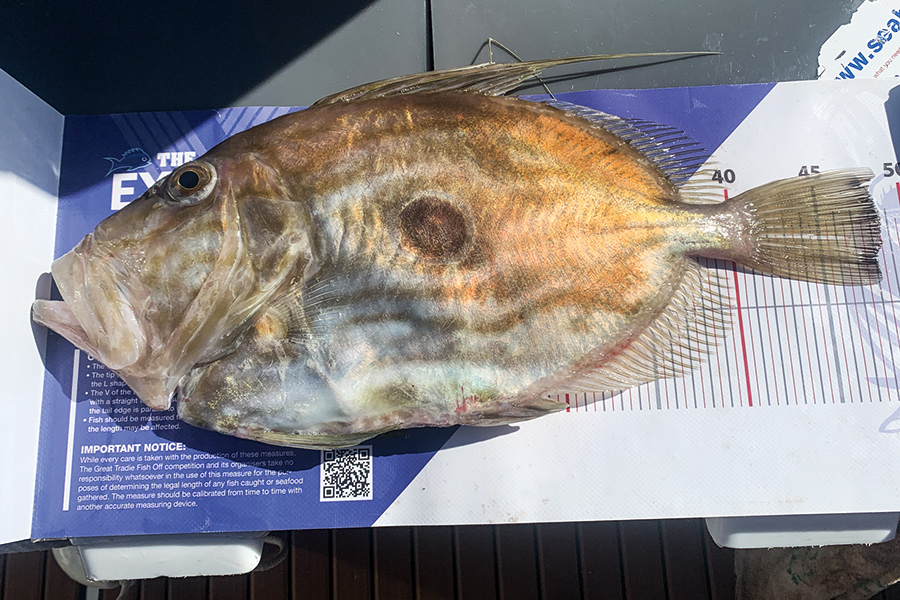 Survival Rates When Releasing Fish - The Fishing Website