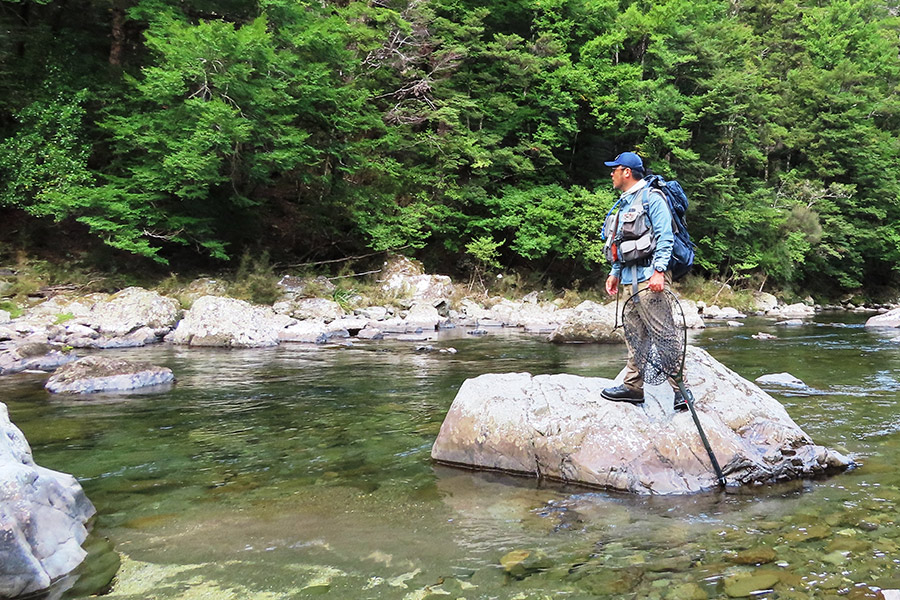 Accessing Remote NZ Trout Fishing By Helicopter - The Fishing Website