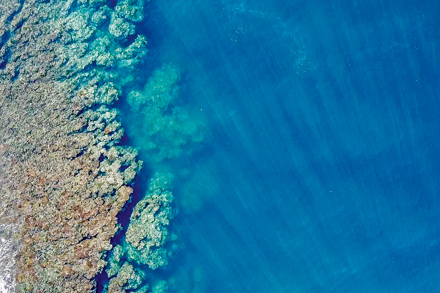 Spearfishing in Samoa - The Fishing Website