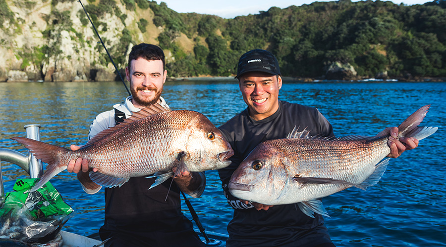 Snapper Fishing with Bait and Berley - The Fishing Website