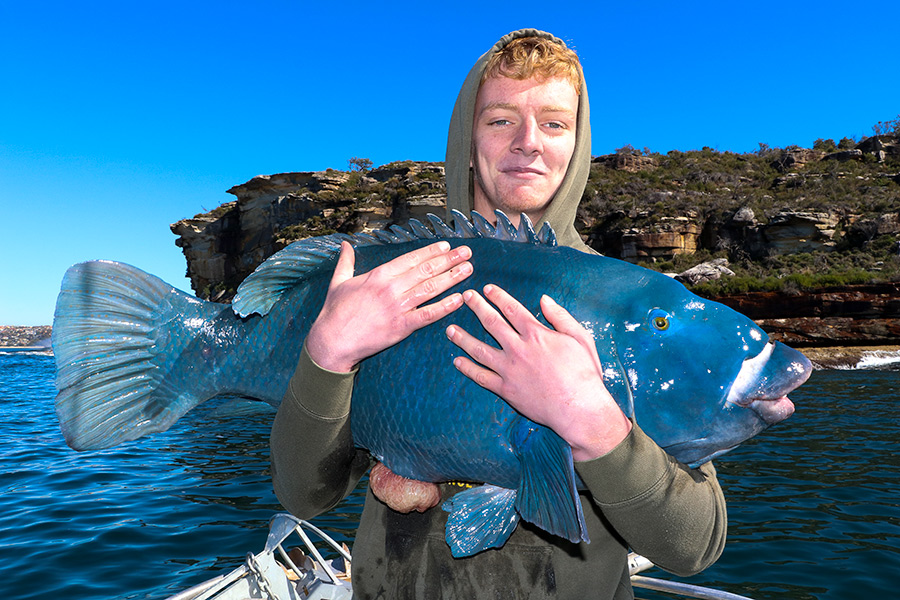 Fishing in Sydney Harbour - The Fishing Website