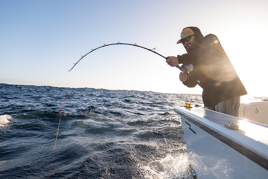 The Three Kings Islands - The Fishing Website