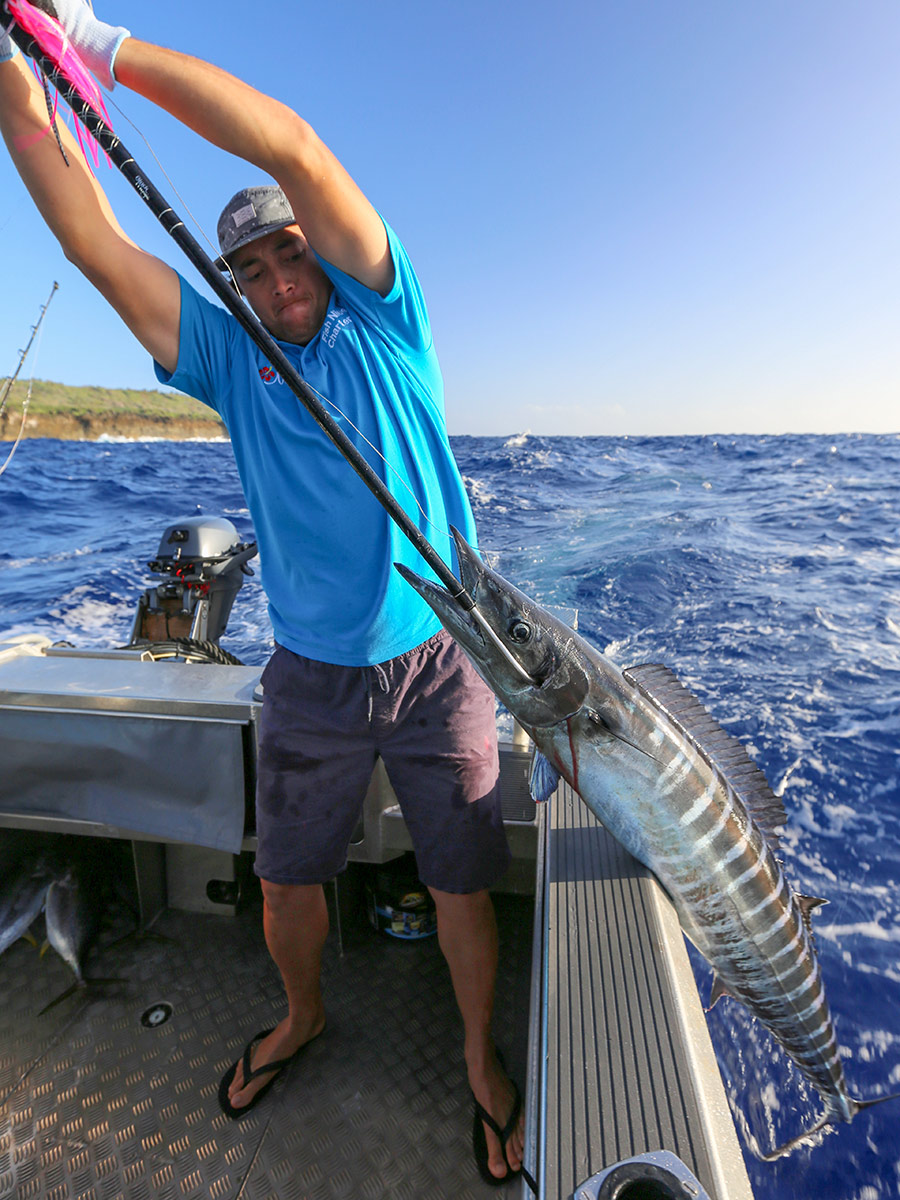 Pacific Fish Species (Part One) - The Fishing Website