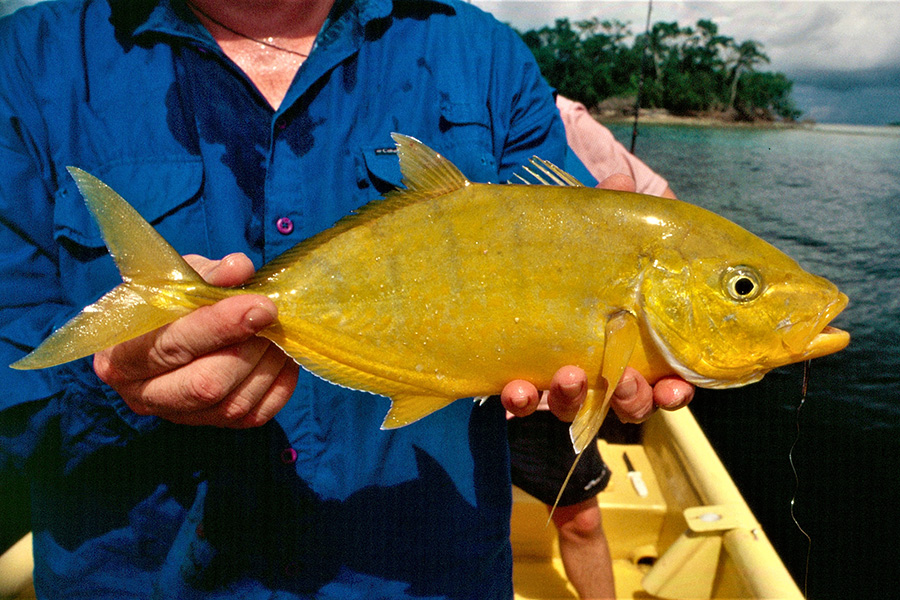 Fishing for Tropical Trevally - The Fishing Website