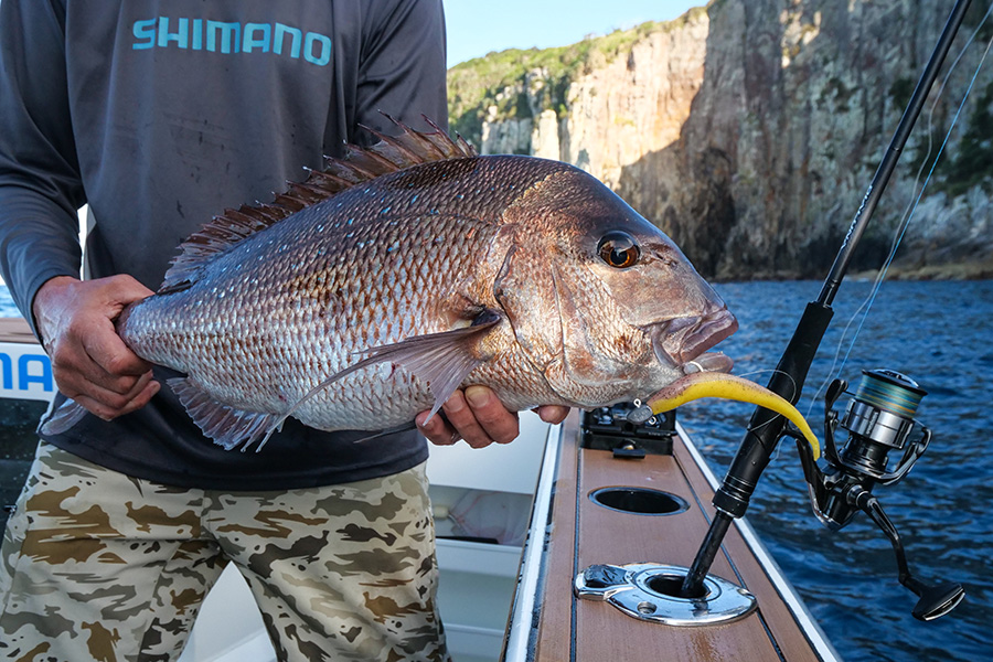 Wash Fishing With Softbaits - The Fishing Website