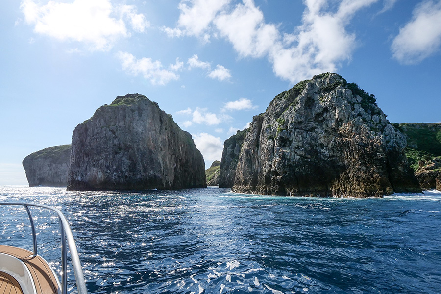 Wash Fishing With Softbaits - The Fishing Website