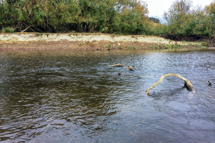 Fishing Flood Structure - The Fishing Website