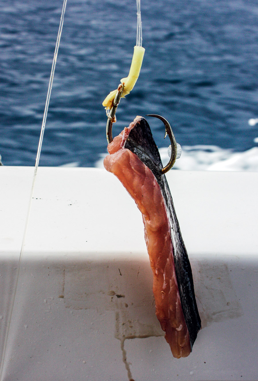 Hooks for Whole Fish and Strip Baits - The Fishing Website