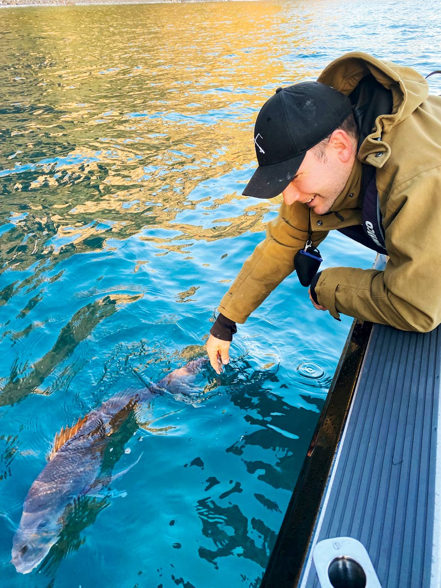 How To Get A Reefed Fish Free - The Fishing Website