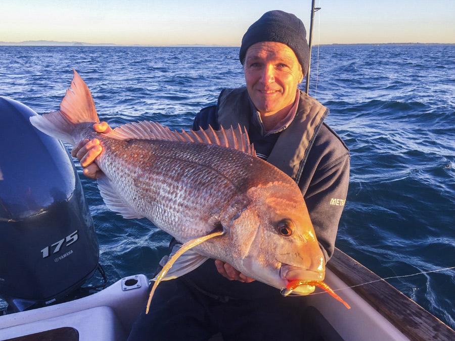 Soft-Baiting Basics - The Fishing Website