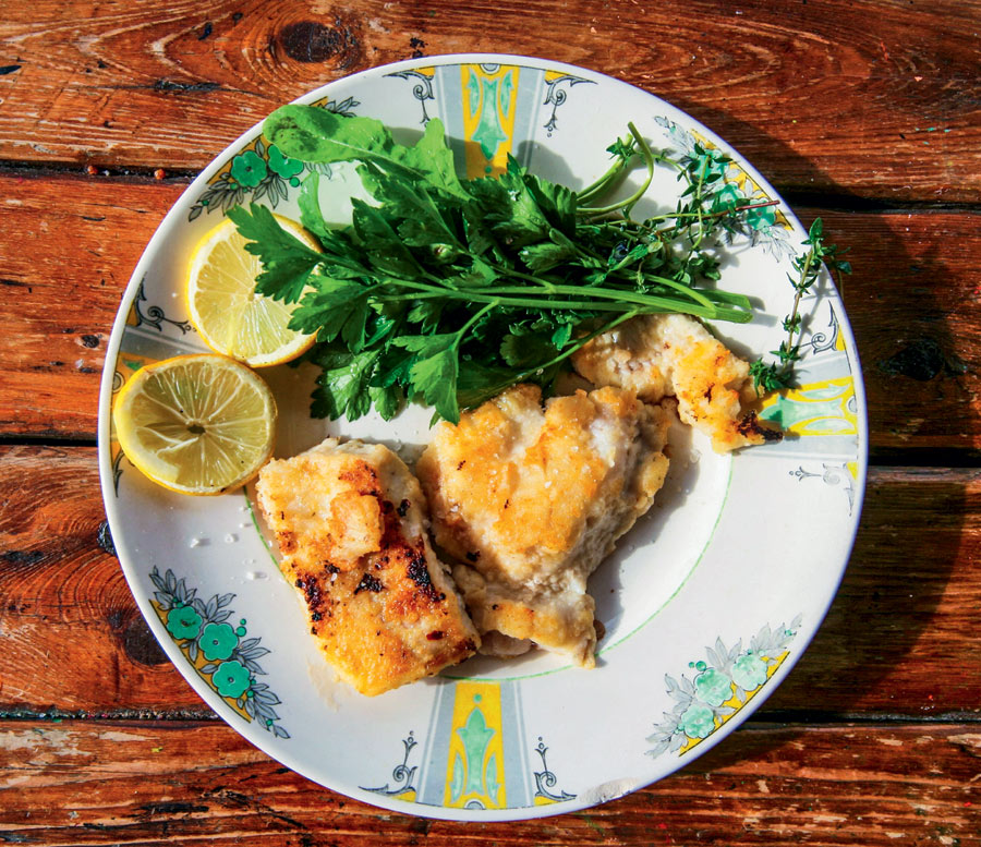 Targeting Freshwater Perch - The Fishing Website