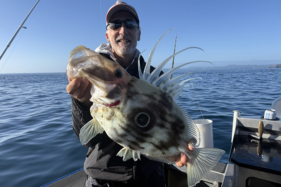 Bay of Islands Fishing Report - 16/10/25 - The Fishing Website