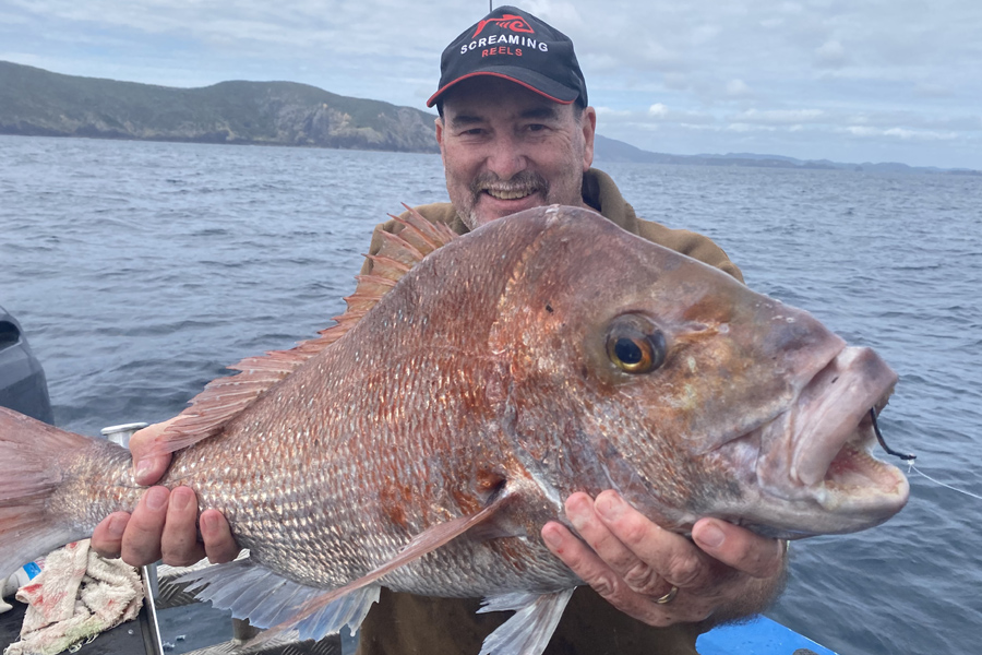 Bay of Islands Fishing Report - 15/11/24 - The Fishing Website