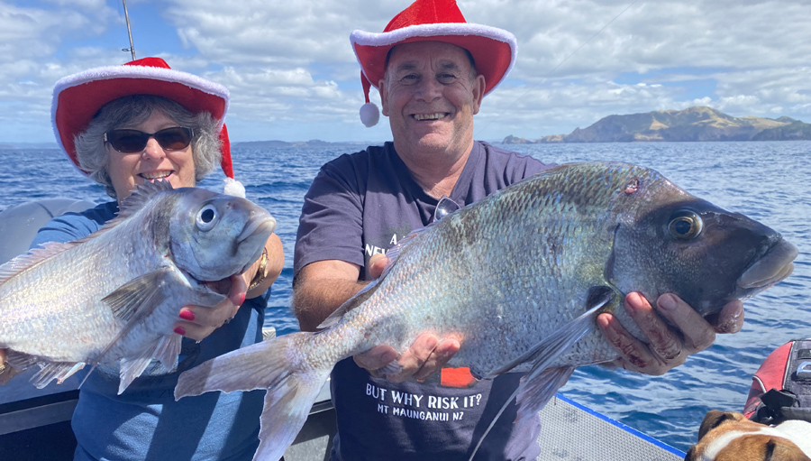 Bay of Islands Fishing Report - 22/03/24 - The Fishing Website