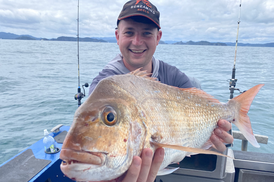 Bay of Islands Fishing Report - 24/01/25 - The Fishing Website