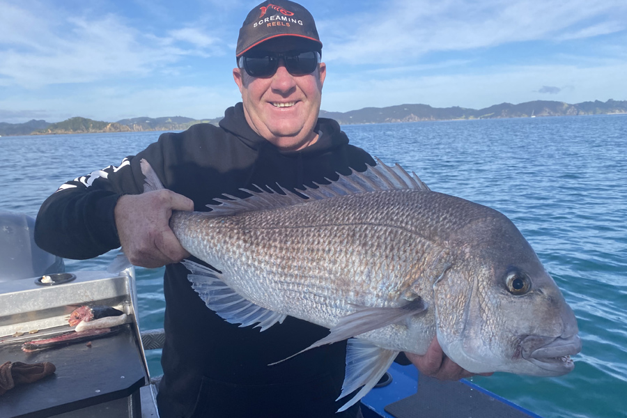 Bay of Islands Fishing Report - 14/06/24 - The Fishing Website