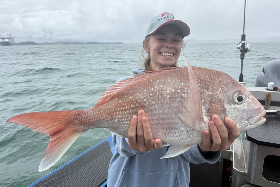 Bay of Islands Fishing Report - 14/11/25 - The Fishing Website